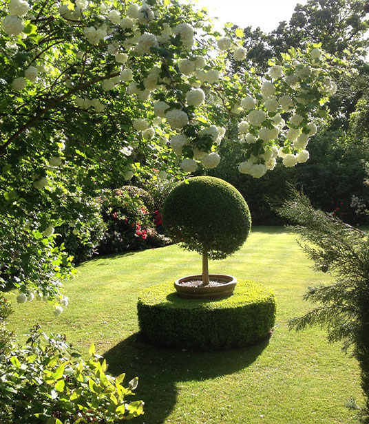 Garden Maintenance & Landscaping | Lawn Care | Hedge cutting | Surrey ...
