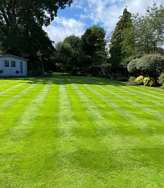 Garden Maintenance & Landscaping | Lawn Care | Hedge cutting | Surrey ...